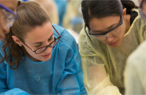 Home - USC Division of Biokinesiology and Physical Therapy